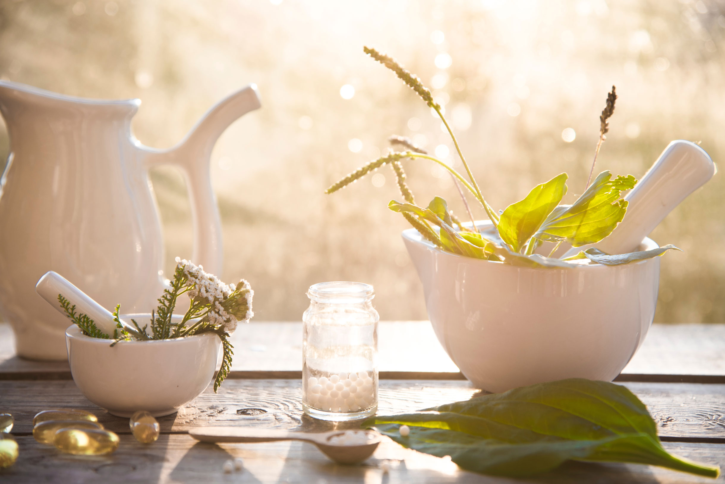 Naturopathy | THE WELL